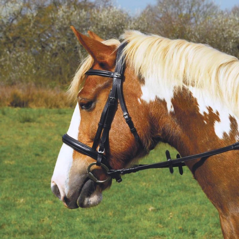 Bridles Archives - Harris Horswear